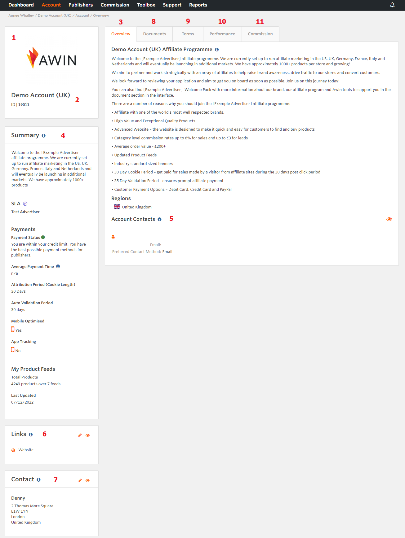 What is the Account Overview?